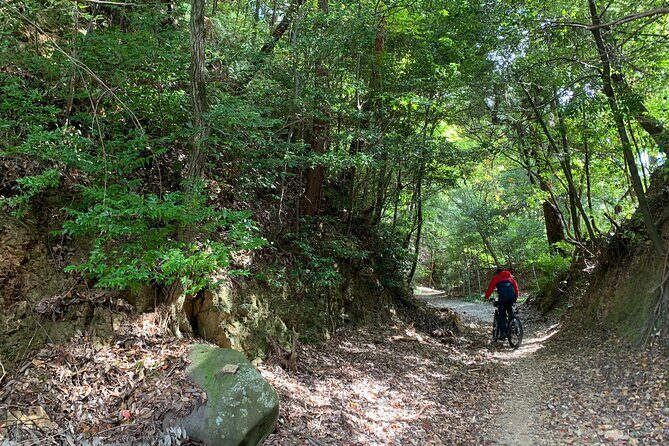Arashiyama Kinkakuji Quiet Trail E-Bike Tour with Hotel Transfer - Authentic Encounters According to Reviewers