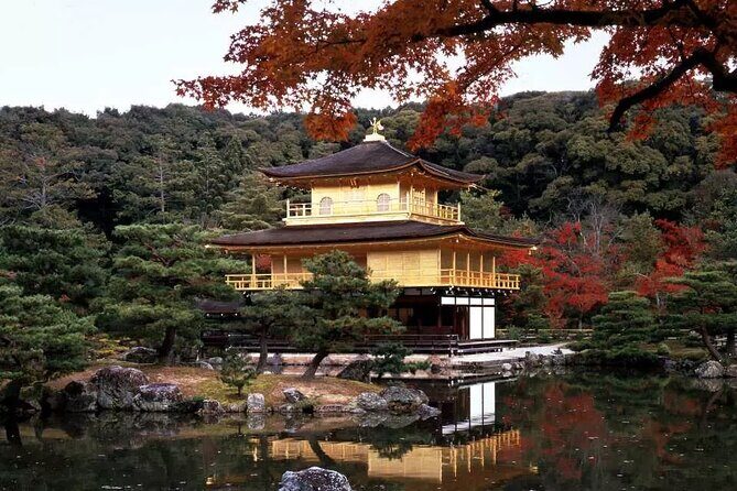 Arashiyama Kinkakuji Temple Nara Park Tour from Osaka and Kyoto - A Closer Look at the Tour Itinerary and Experience
