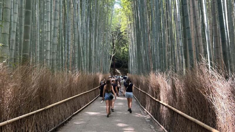 Arashiyama Morning Escape: Bamboo Grove & Zen Temple - Authentic Experiences That Matter
