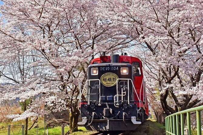 Arashiyama Sagano Romantic TrainFushimi Inari Taisha & Nara Park - Key Points