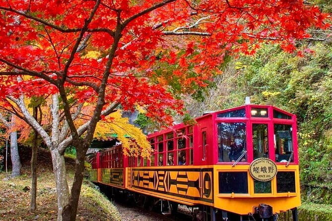 Arashiyama Sagano Romantic TrainFushimi Inari Taisha & Nara Park - Practical Details & Value