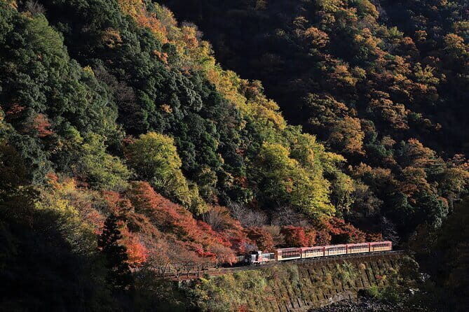 Arashiyama Walking Tour with Optional Sagano Romantic Train Ride - Exploring Kyoto’s Arashiyama: A Practical, Authentic Guide to the Walking Tour
