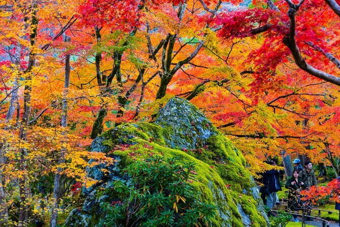 Arashiyama Walking Tour with Optional Sagano Romantic Train Ride - Authentic Experiences and Impression