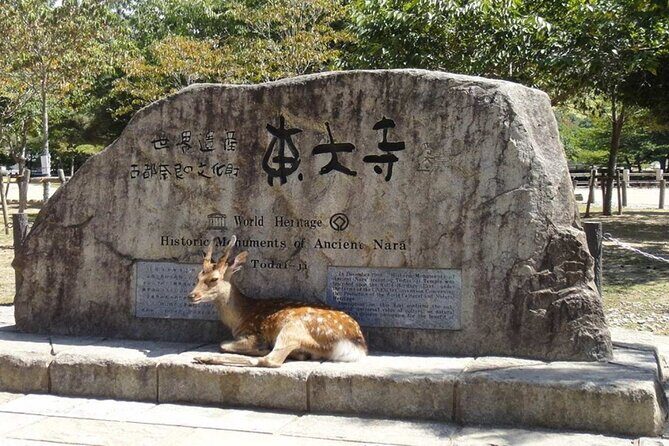 Arashiyama, Yasaka Shrine, Hanamikoji Todaiji Day Tour From Osaka - Practical Considerations