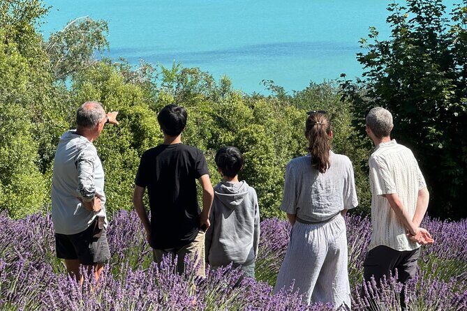 Arataki Conservation - our Journey to Protect our Whenua (land) - Key Points