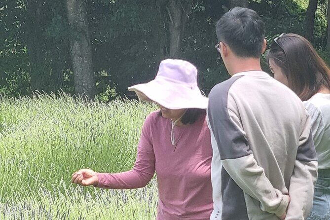 Arataki Conservation - our Journey to Protect our Whenua (land) - Discovering Arataki Conservation: An Authentic Eco-Experience