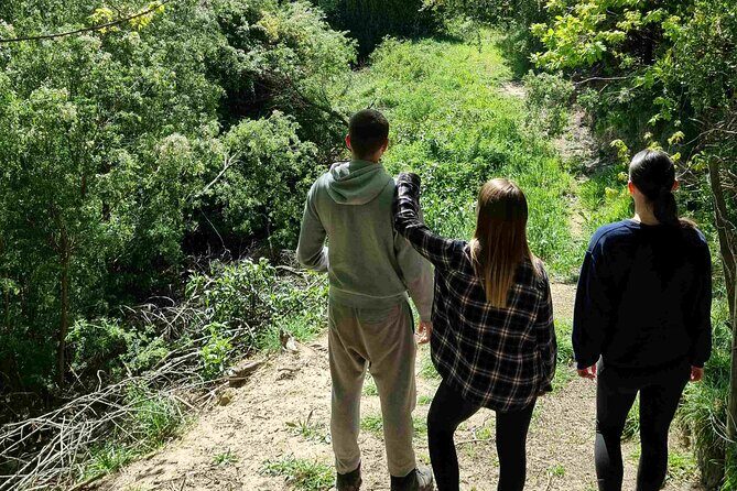 Arataki Conservation - our Journey to Protect our Whenua (land) - Comparing to Other Local Experiences