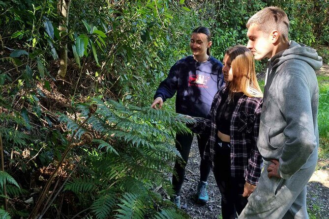 Arataki Conservation - our Journey to Protect our Whenua (land) - Who Will Love This Tour?