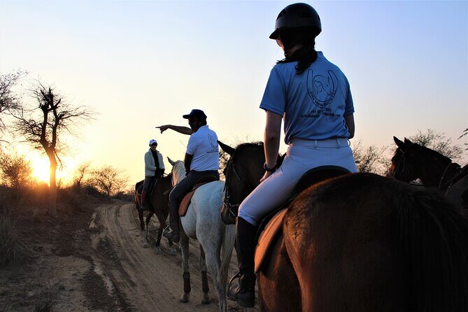 Aravali Trail Experience( Jungle Safari Forest area)- Horseback Riding - Exploring the Aravali Trail Experience: Horseback Riding Near Gurgaon