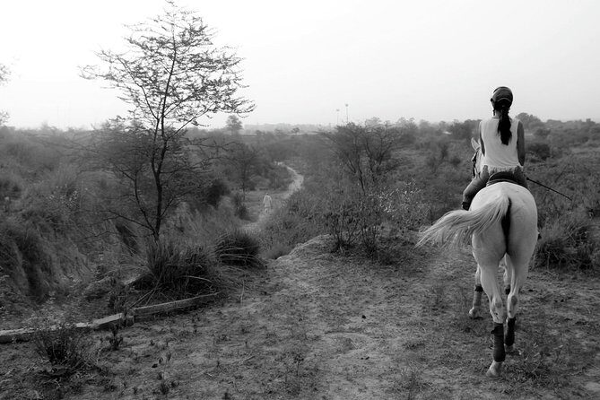 Aravali Trail Experience( Jungle Safari Forest area)- Horseback Riding - An Authentic Horseback Encounter Close to Delhi