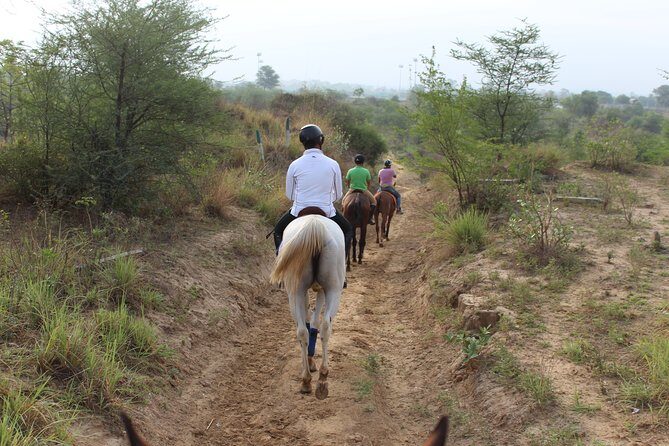 Aravali Trail Experience( Jungle Safari Forest area)- Horseback Riding - Authentic Reviews: What Past Riders Say