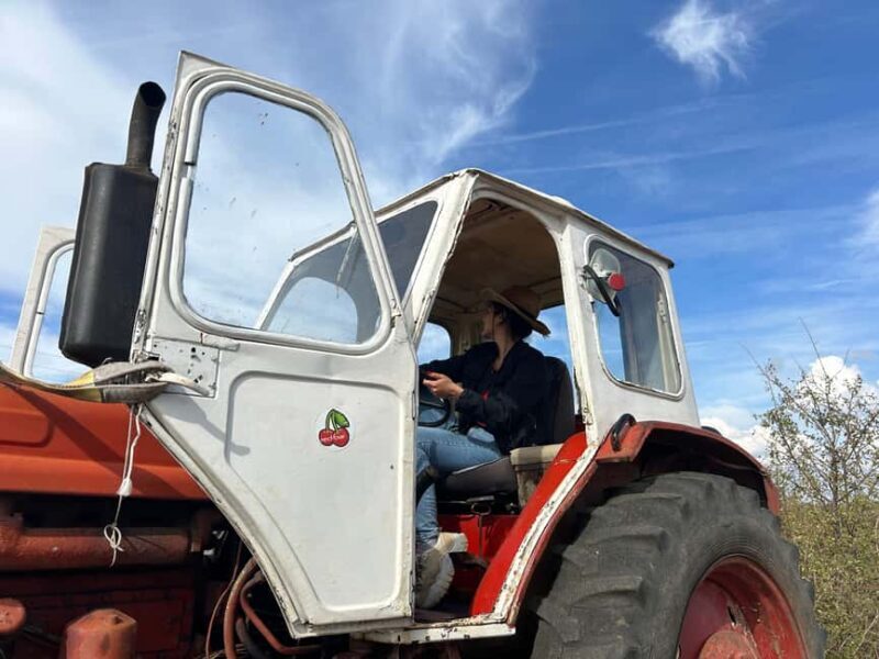Arbanasi: 40-Minute Tractor Self-Driving Experience - Practical Details and Tips