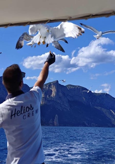 Arbatax: Gulf of Orosei Day Tour by Boat - Who is This Tour Best For?