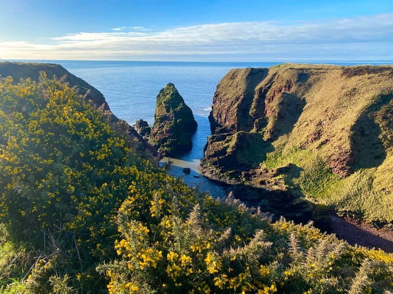 Arbroath: Seaton Cliffs Guided Walking Tour with Geologist - The Itinerary and What You Can Expect