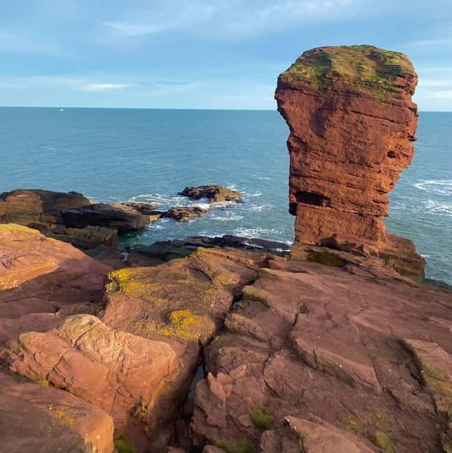 Arbroath: Seaton Cliffs Guided Walking Tour with Geologist - Practical Tips to Maximize Your Experience
