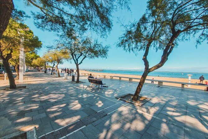 Arcachon: Guided City Walking Tour - Why Choose the Arcachon Guided Walking Tour?