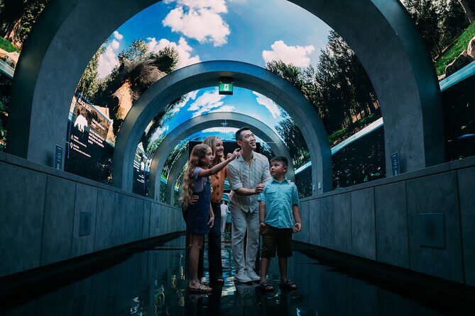 Arcadia Earth Toronto - An Immersive Art Experience - Introducing the Experience