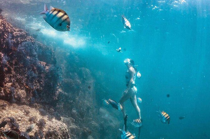 Arch Boat Tour and Snorkeling at Pelican Rock - Who Is This Tour Best For?