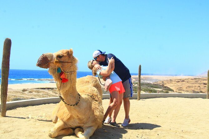 Arch Camel Ride and Glass Boat Tour - The Smaller Details That Matter