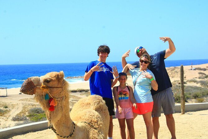Arch Camel Ride and Glass Boat Tour - FAQ