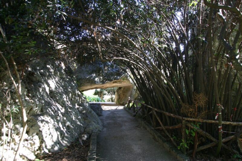Archaeological Syracuse: Neapolis Park private tour - Key Points