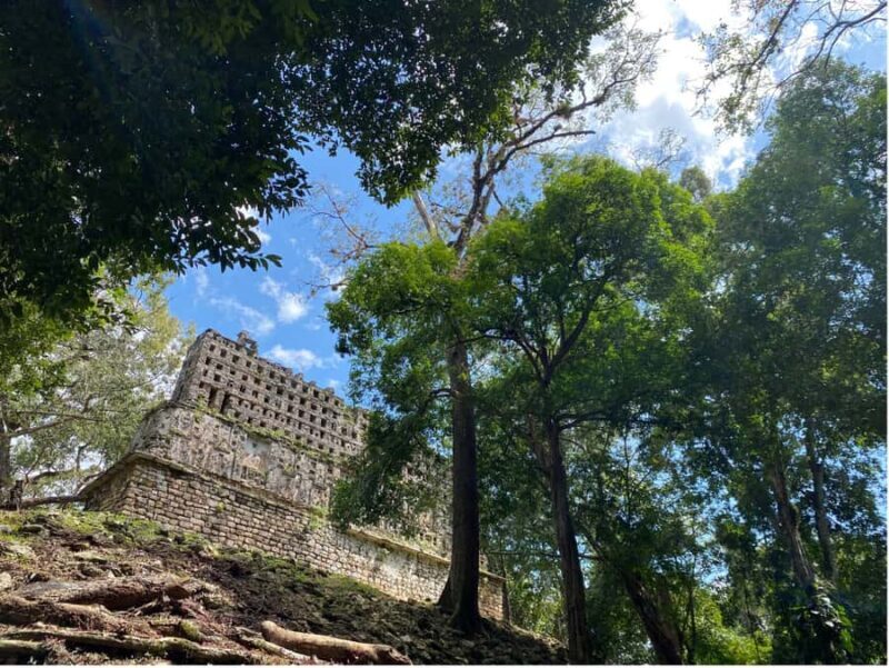 Archaeological Zones Yaxchilan & Bonampak - Who Should Consider This Tour