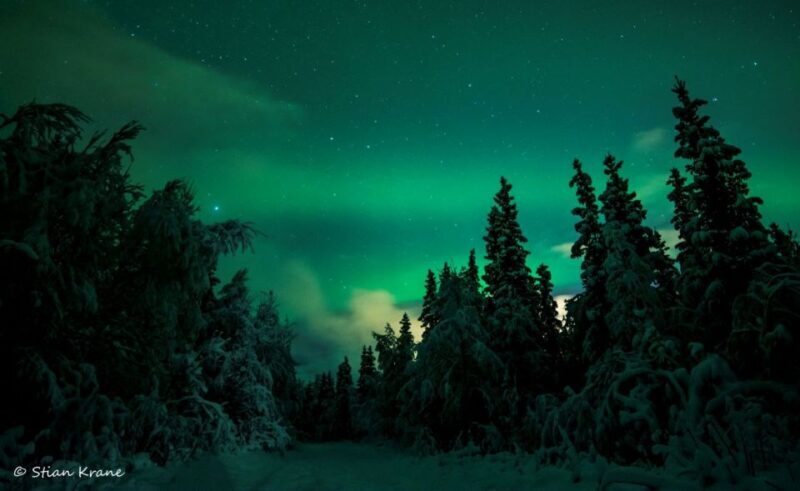 Arctic Adventure: Northern Lights Hunting with Snowmobiles - What Makes This Tour Special?