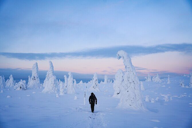 Arctic Adventure through Magical Frozen Forests of Riisitunturi - An In-Depth Review of the Arctic Adventure Tour