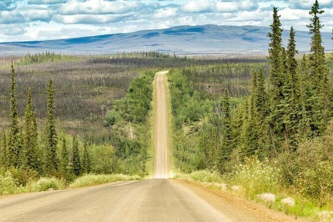 Arctic Circle and Northern Lights Tour from Fairbanks - Arctic Circle and Northern Lights Tour from Fairbanks