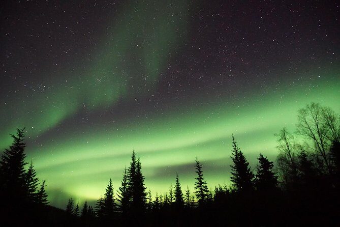 Arctic Circle and Northern Lights Tour from Fairbanks - Final Words
