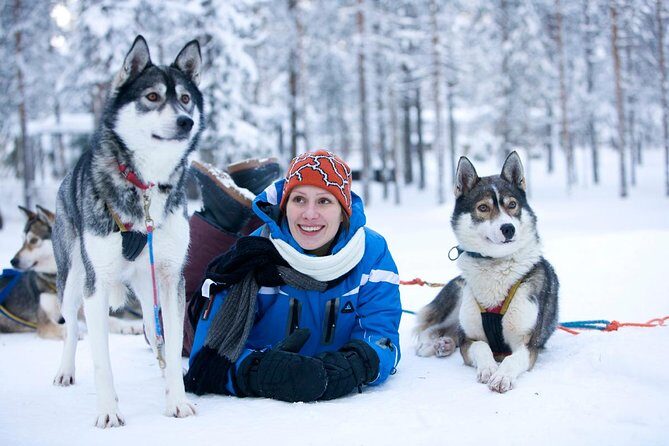 Arctic Circle Family Day - A Practical Look at the Arctic Circle Family Day