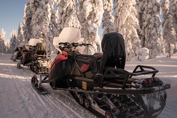 Arctic Circle Snowmobile Safari for Beginners in Rovaniemi - Key Points