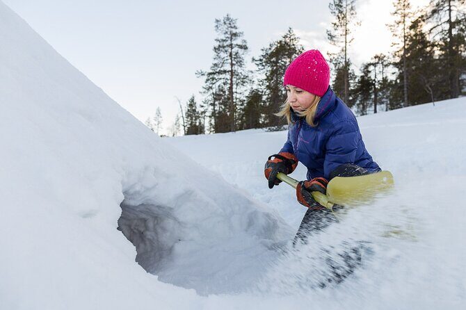 Arctic Day  A 6 hours Survival Workshop - Introduction to the Experience