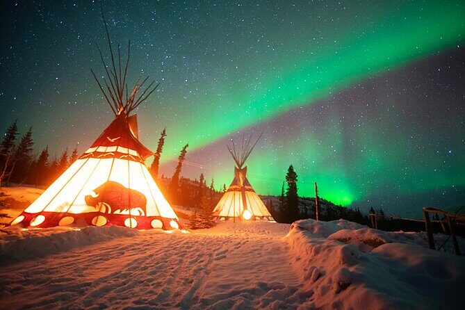 Arctic Day: Aurora Viewing Tour | late night - An In-Depth Look at the Aurora Viewing Experience