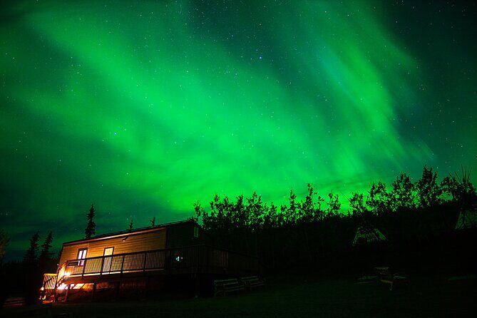 Arctic Day: Aurora Viewing Tour | late night - The Sum Up