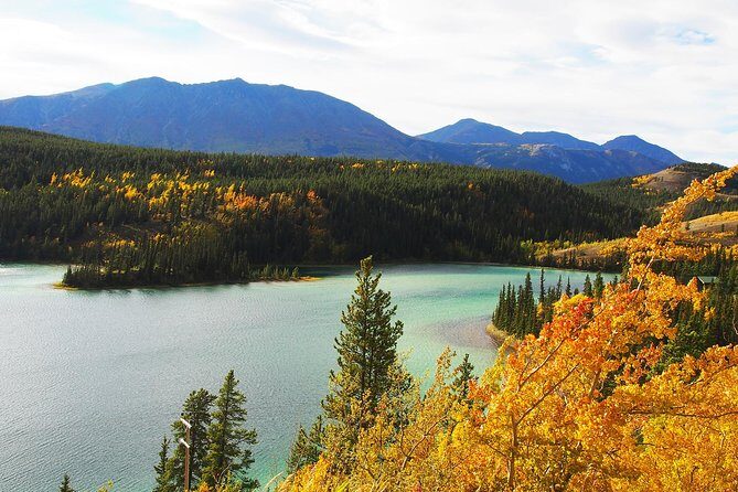 Arctic Day: Carcross & Southern Lakes Hiking Tour | full day - What Travelers Say