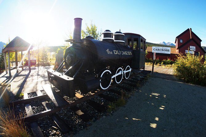 Arctic Day: Carcross & Southern Lakes Hiking Tour | full day - Who Should Consider This Tour?