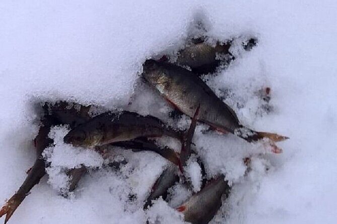 Arctic Day with Ice Fishing and Floating - Key Points
