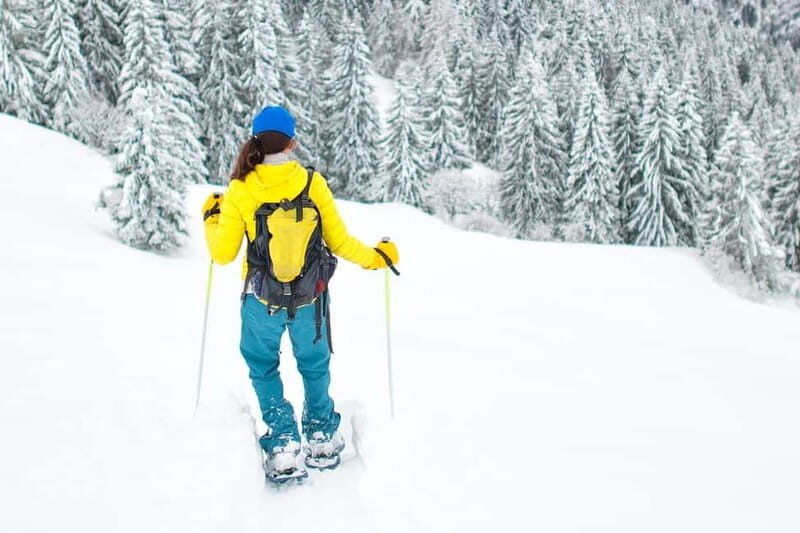 Arctic Gateway: Snowshoeing Expedition in Lapland - FAQ