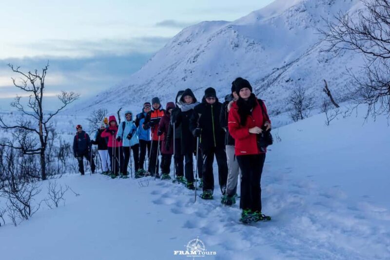 Arctic hike on Kvaløya Island with drinks and snacks - Overview of the Snowshoeing Adventure on Kvaløya