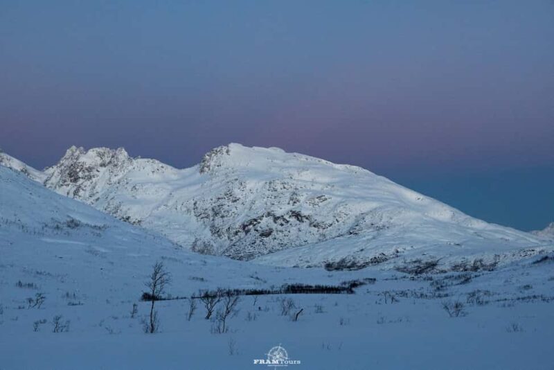 Arctic hike on Kvaløya Island with drinks and snacks - What Sets This Tour Apart