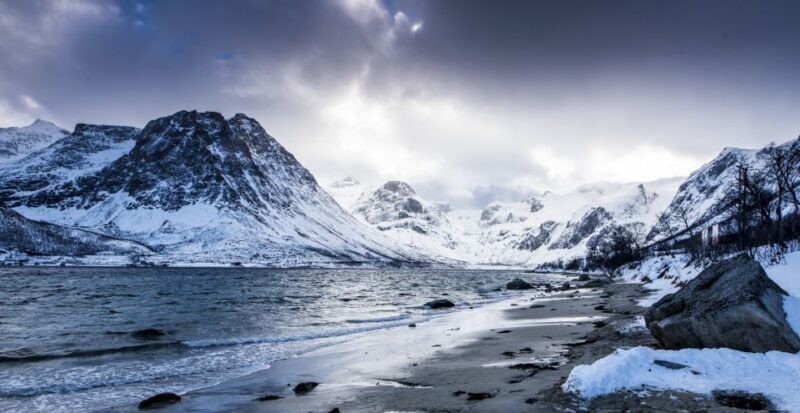 Arctic Nature Tour from Tromsø - Key Points