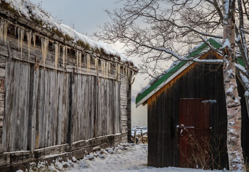 Arctic Nature Tour from Tromsø - Wildlife Encounters and Scenic Highlights