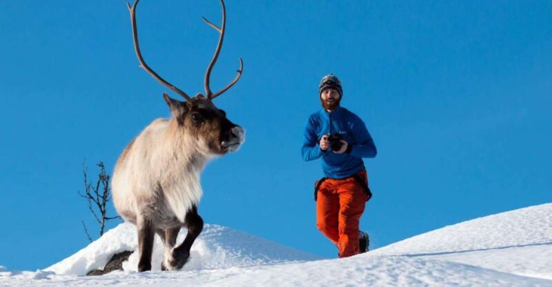 Arctic Nature Tour from Tromsø - Price and Value Analysis