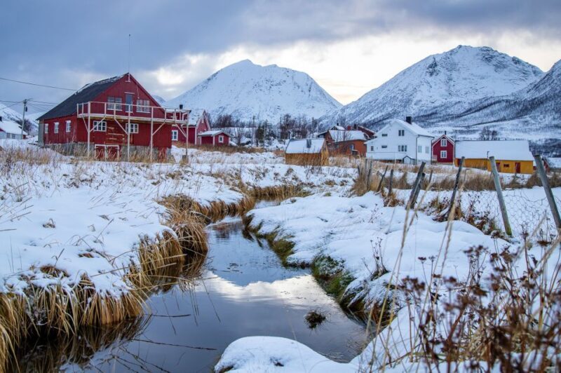 Arctic Nature Tour from Tromsø - FAQs