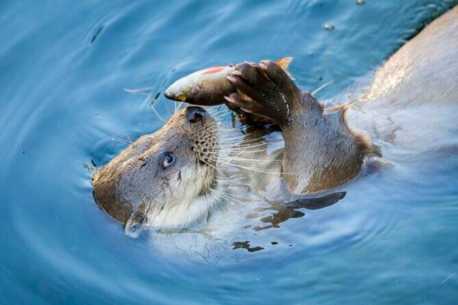 Arctic Polar Bear Adventure Afternoon Trip - What You Can Expect from the Arctic Polar Bear Adventure