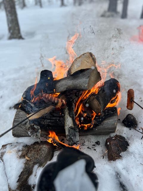 Arctic Reindeer Farm Experience with Snowshoeing in the Wild - A Closer Look at the Tour Experience