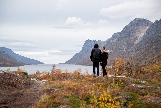 Arctic Roadtrip: fjords with scenic picnic | Private - Introducing the Arctic Roadtrip: Fjords with Scenic Picnic