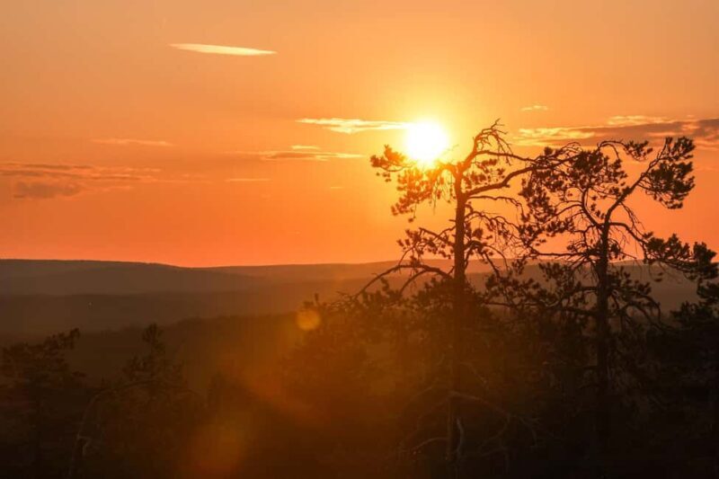 Arctic Wilderness Hike from Rovaniemi (Day & Evening) - An In-Depth Look at the Arctic Wilderness Hike