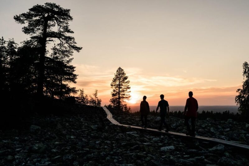 Arctic Wilderness Hike from Rovaniemi (Midnight sun/Sunset) - Who Should Enjoy This Tour?